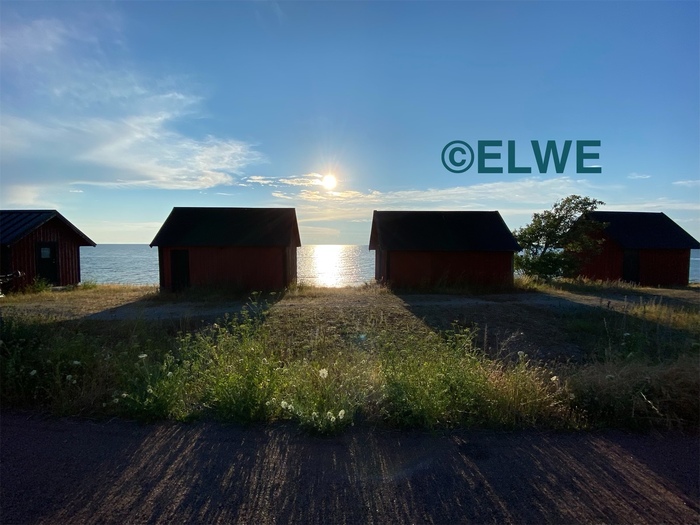 ELWE Photo
